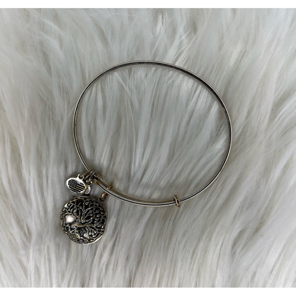 Alex and Ani | Jewelry | Alex And Ani Tree Of Life Rafaelian Silver Charm Bangle | Poshmark